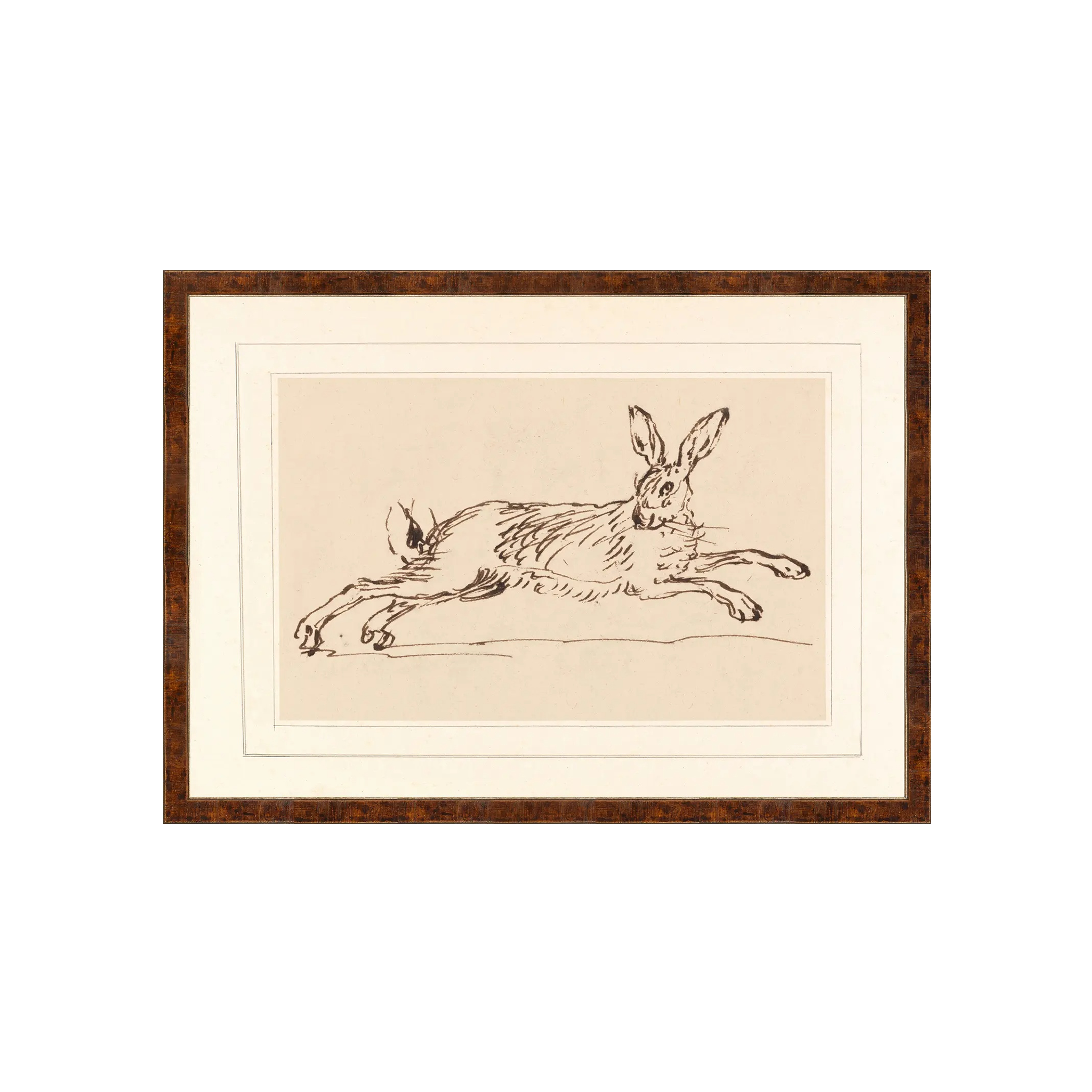 running hare drawing